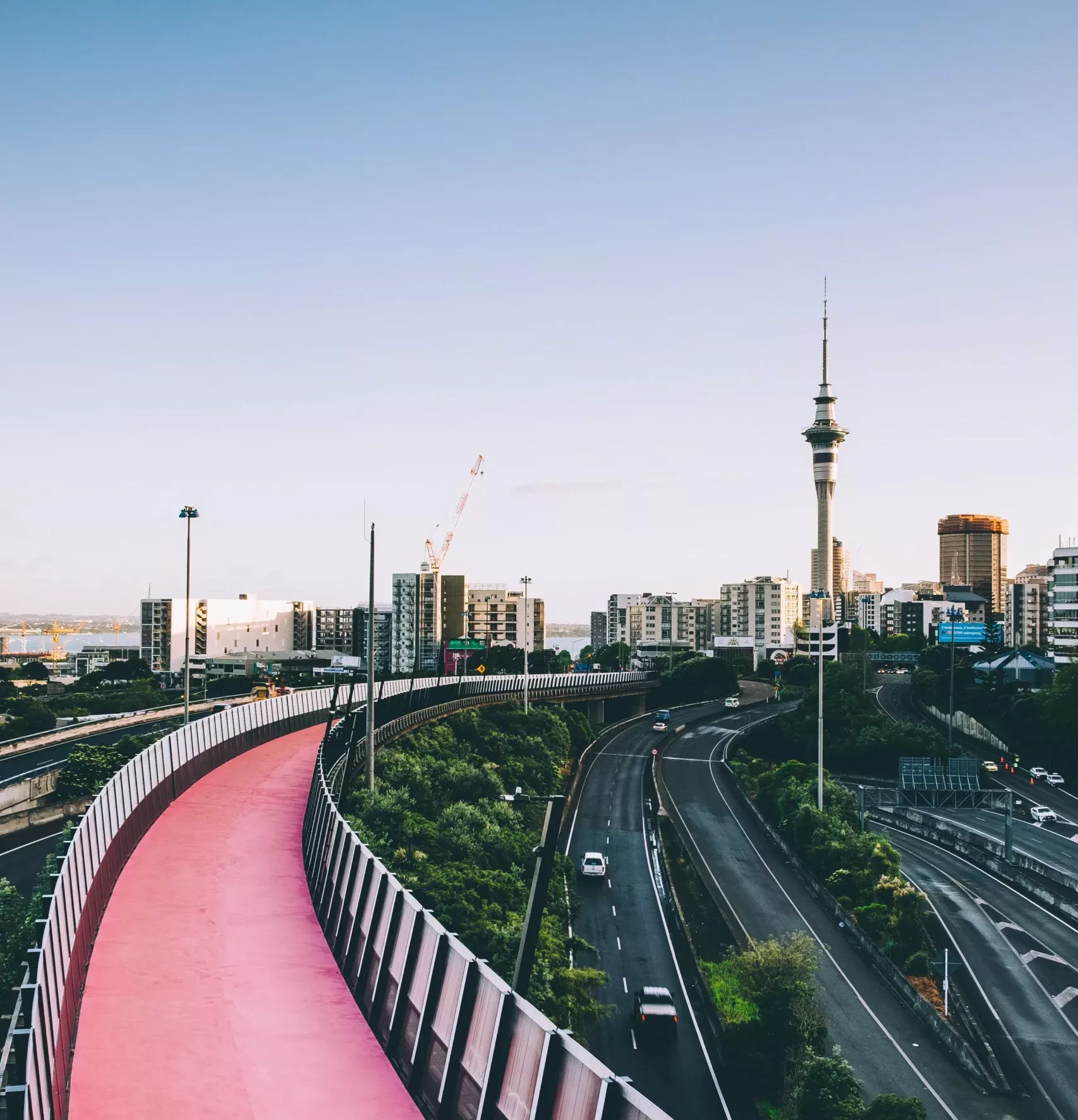 Studier på New Zealand - ANSA